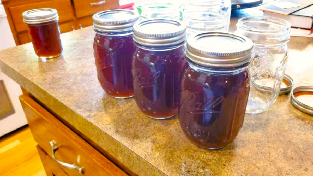 Uses for Old Maple Syrup – HowToMakeMapleSyrup.ORG